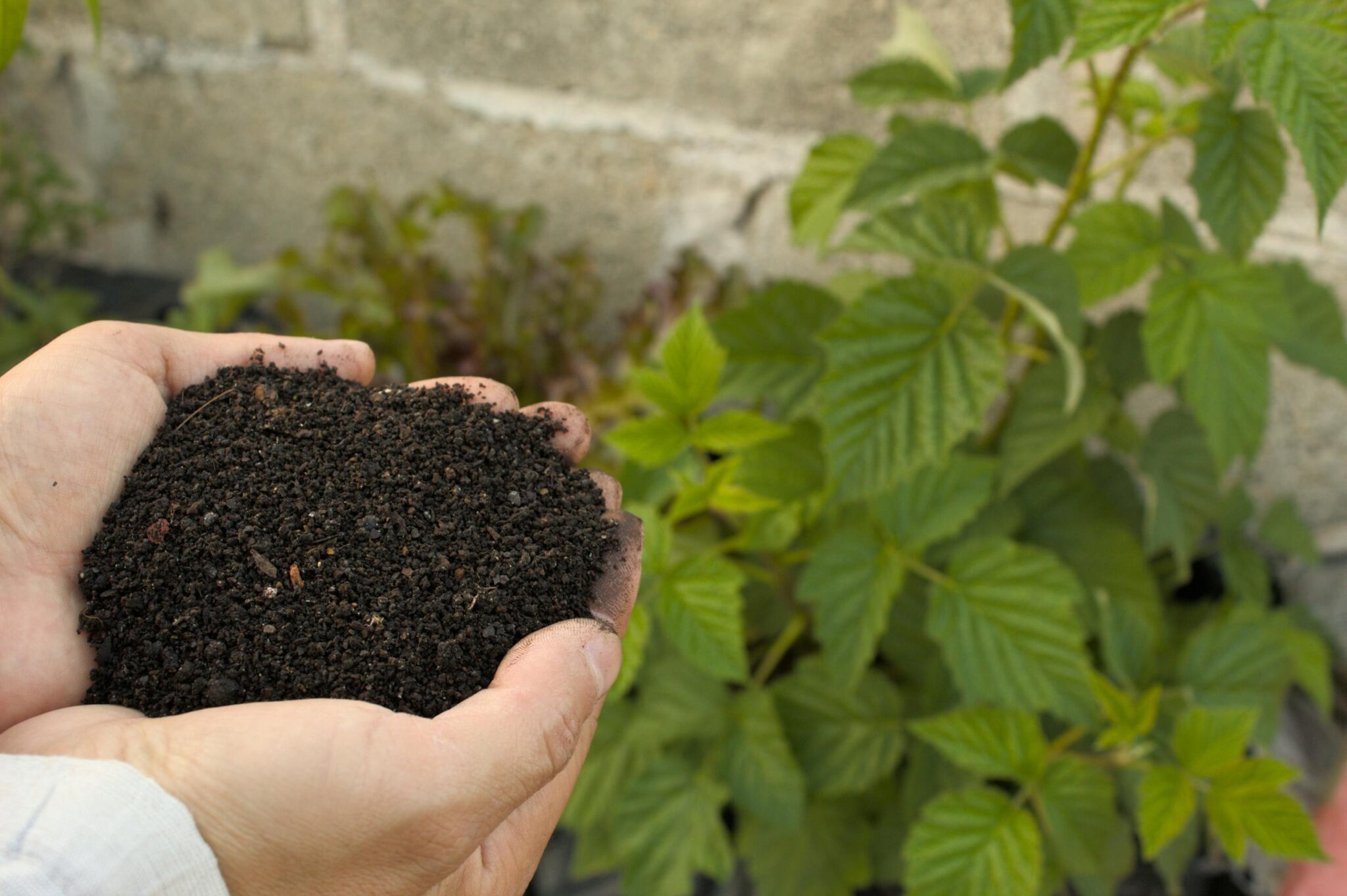 Spring Composting 101: Easy Tips for Your Garden - Our Manor on Main